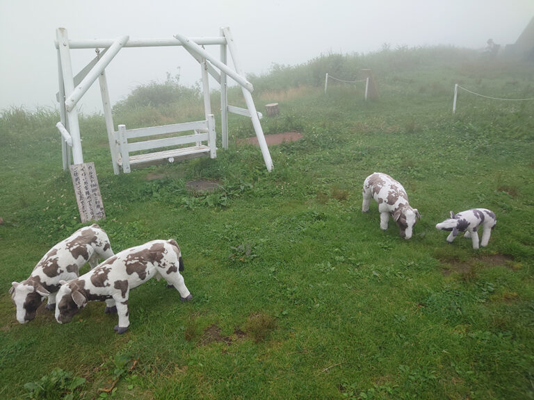 4つのオープンエアカフェを巡る旅はいかが？ 四国カルストにある「カルスト珈琲」へ行ってきたよ！ | KITONARU（きとなる）