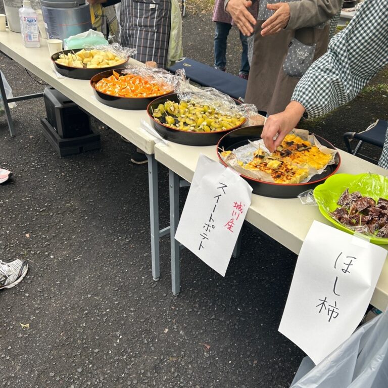 西予の自然を満喫！「サイクリングin四国西予ジオパーク」を紹介します！ | KITONARU（きとなる）